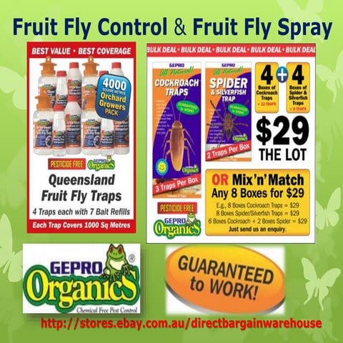 Best Fruit fly control | PPTX