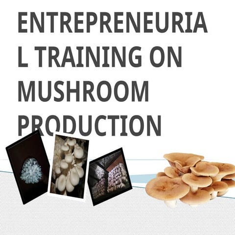 FRUITING BAG TECHNIQUE ON OYSTER MUSHROOM PRODUCTION.pptx