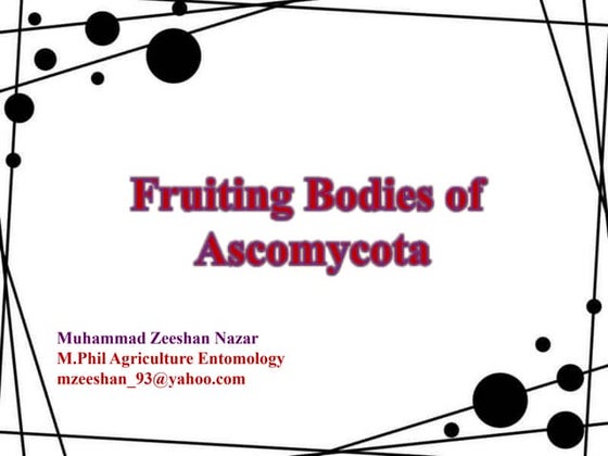 Gram positive and gram negative bacteria | PPT