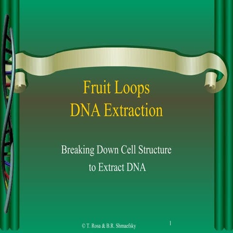 Simple DNA Extraction Background | PPT