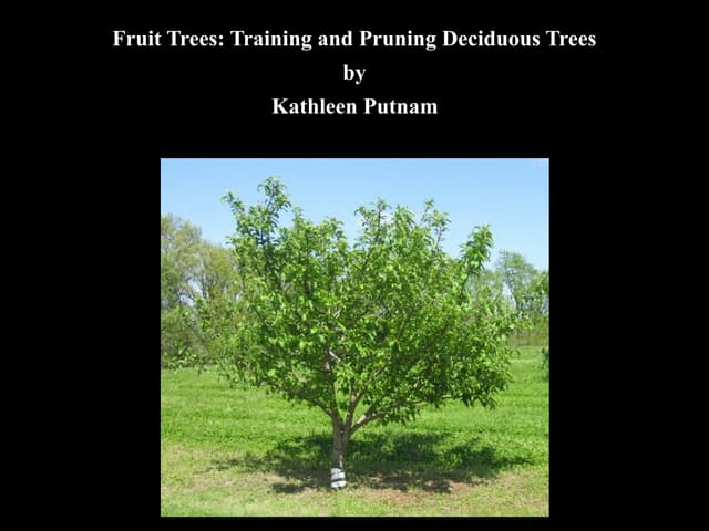 Canopy types and structures: Canopy Management.pptx