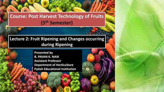 Example script for moderator | PPT