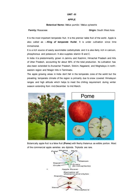 Preservation of food by low temperature | PPTX