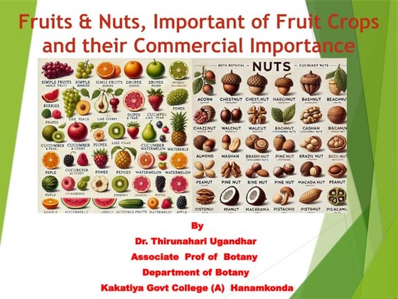 Classification of Fruit | PPT
