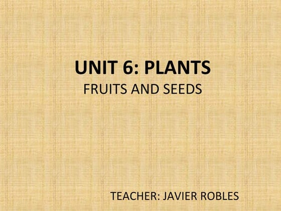 Plants powerpoint lesson | PPT