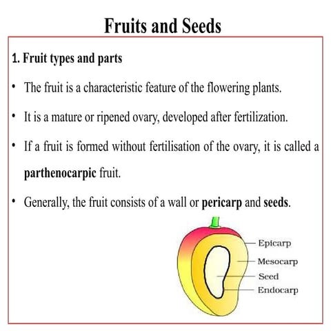 Classification of Fruit | PPTX