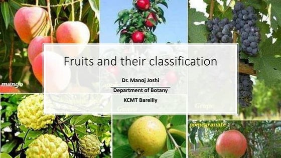 5. Classification of Fruits according to types.pptx