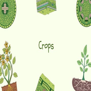 Fruits and vegetables _20260316_065910_0000.pdf