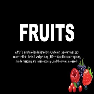 Classification of Fruit | PPTX