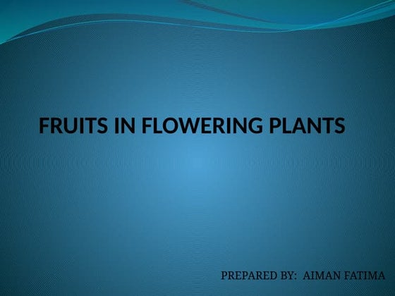 Classification of Fruit | PPTX | Gardening | Home & Garden