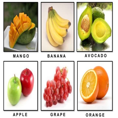 FRUITS | PPTX