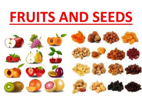 Classification of Fruit | PPTX | Gardening | Home & Garden
