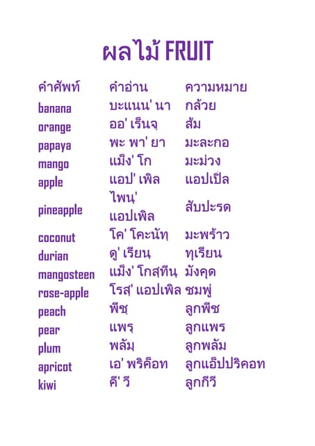 The hare and the tortoise waree | DOCX