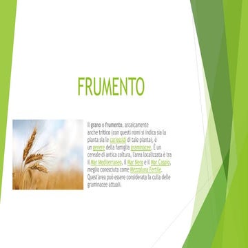 Frumento | PPTX