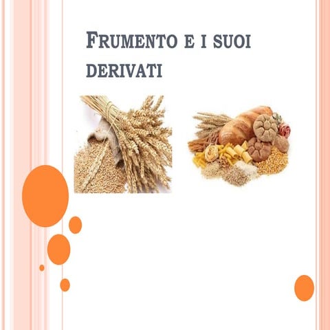 Frumento e i suoi derivati. | PPTX