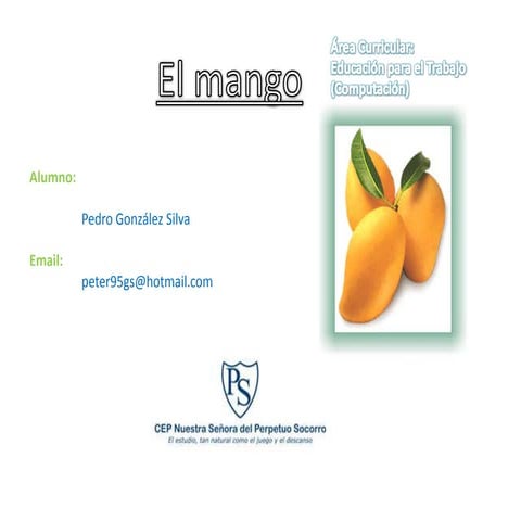 Presentation 2010-4 | PPTX