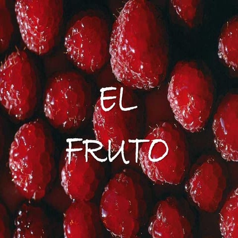 15.MORFOLOGÌA DEL FRUTO .pdf