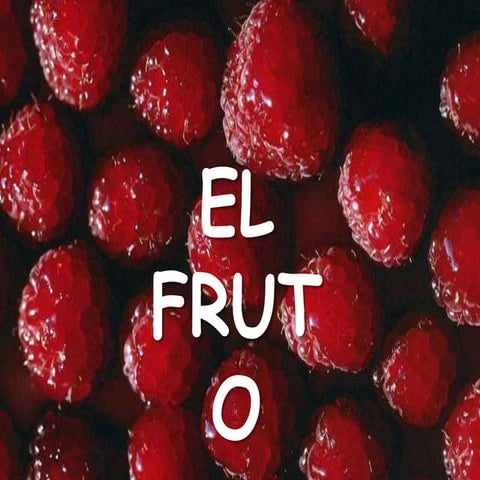 15.MORFOLOGÌA DEL FRUTO .pdf