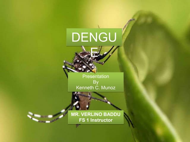 Prevention and control of dengue fever | PPTX | Infectious Diseases | Diseases and Conditions