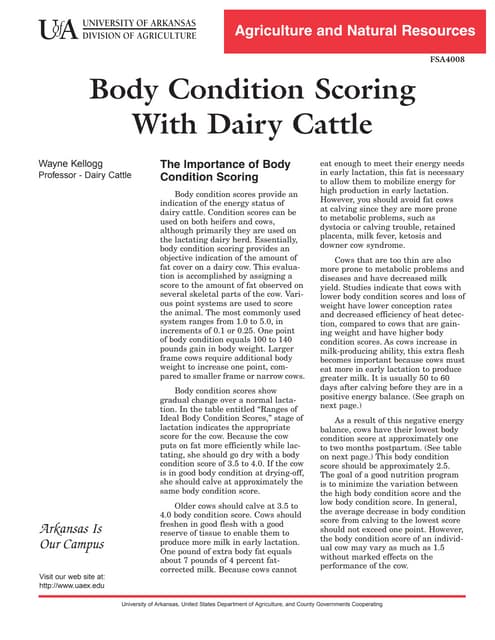 Beginner's Guide to Body Condition Scoring | PPT