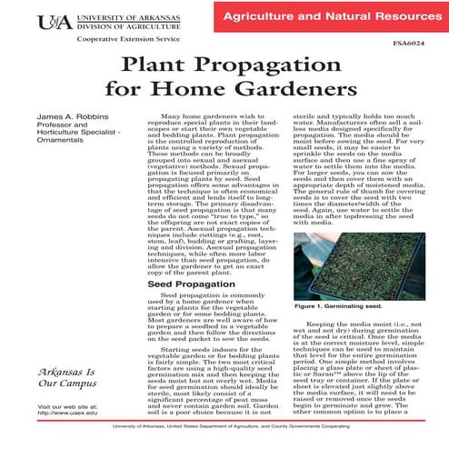 Plant Propagation for Home Gardeners | PDF