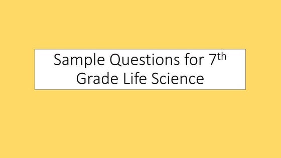 Lead capture template - Scratch to Win | PPT