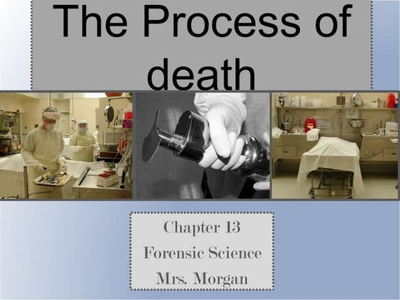 Post Mortem Changes | PPT