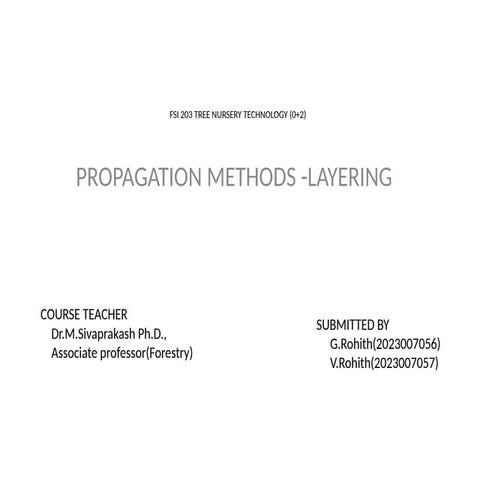 Layering principles and methods | PPTX