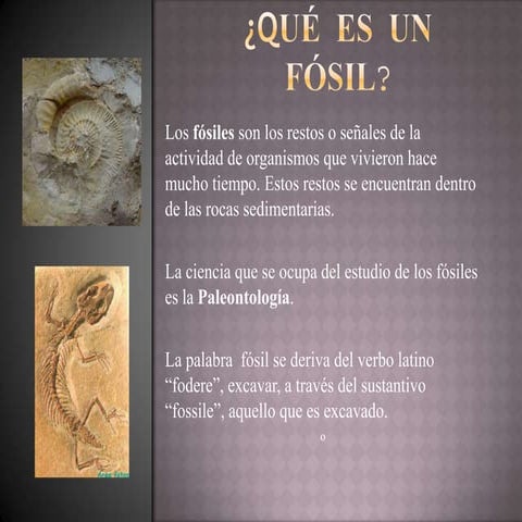 Las rocas, fósiles | PPT