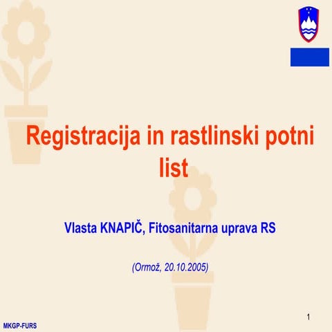 Fsi sseminar21102005 | PPT