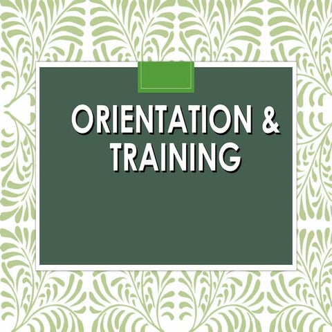 Comprehensive Guide to Employee Orientation and Training Programs | PPT