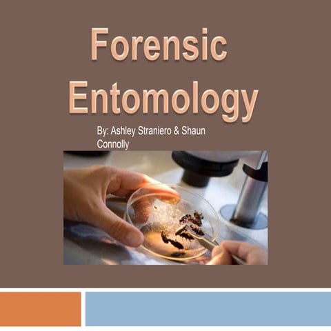 Forensic Entomology | PPT