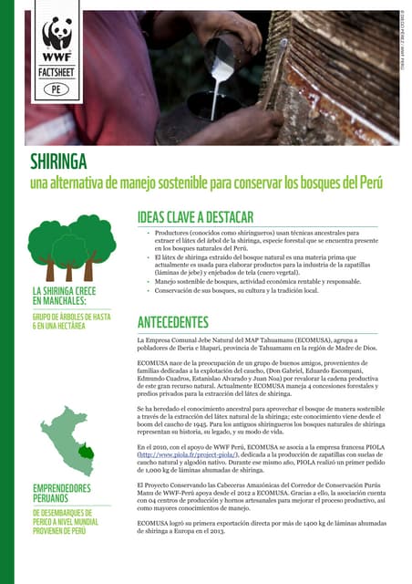 Sustainable Cities WWF Peru | PPT