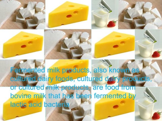 Fermented milk products | PPT