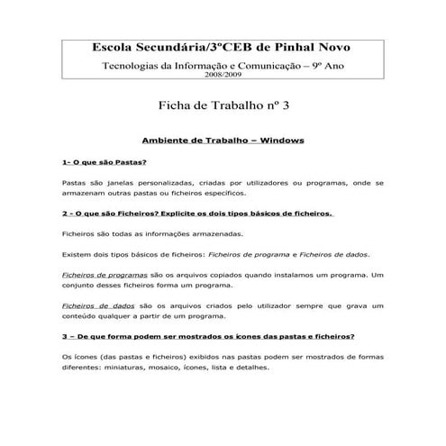 Ecv template pt | DOC
