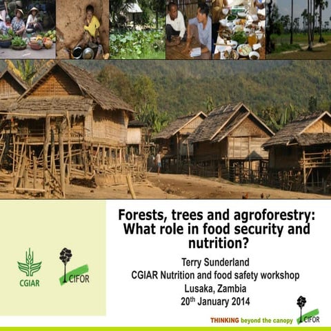 Forests, trees and agroforestry: What role in food security and ...