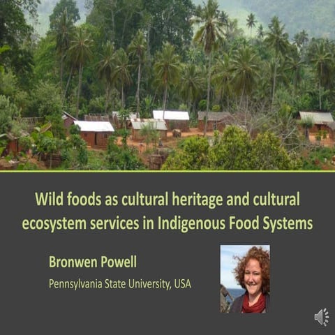 Wild foods as cultural heritage and cultural ecosystem services in ...