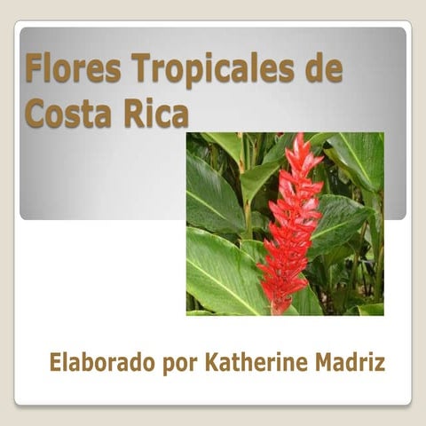 FTCR madriz katherine | PPTX
