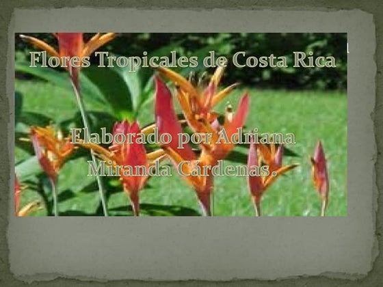 Types Of Ice Layout 1 | PDF