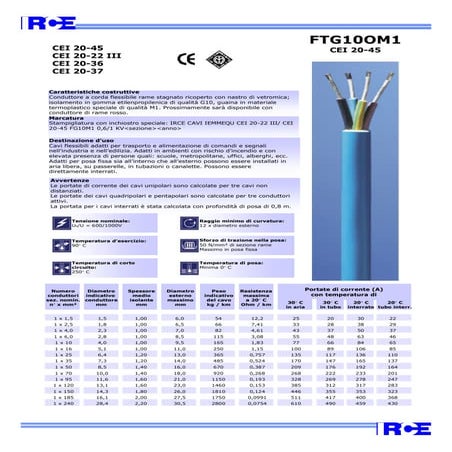 Ftg10om1 cei 20_45 | PDF