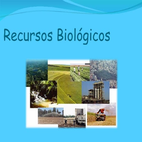 Recursos biologicos | PPT