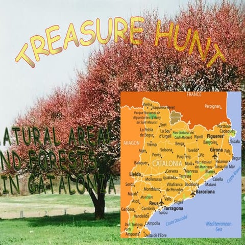 TREES TREASURE HUNT | PPT