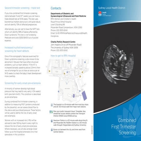12 week pregnancy scan information sheet | PDF