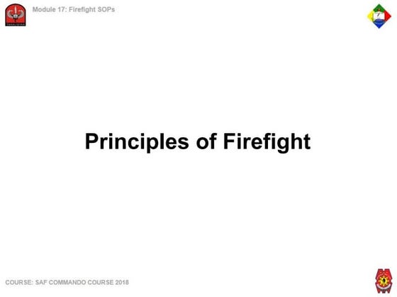 16.-BASIC-COMBAT-FORMATIONOK.pptx