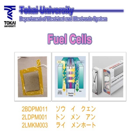 Fuel cell 2st presentation 10.12.2012 | Automotive Industry | Industries