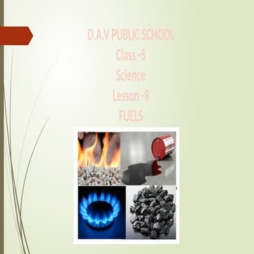 Lesson - FUEL, CLASS -V , SCIENCE, DAV BOOK | PPT