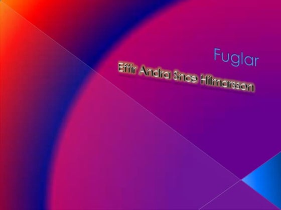 Natalia fuglar | PPT