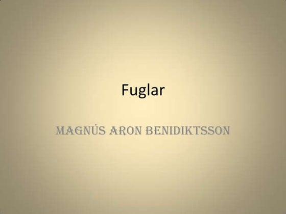 Fuglar | PPT