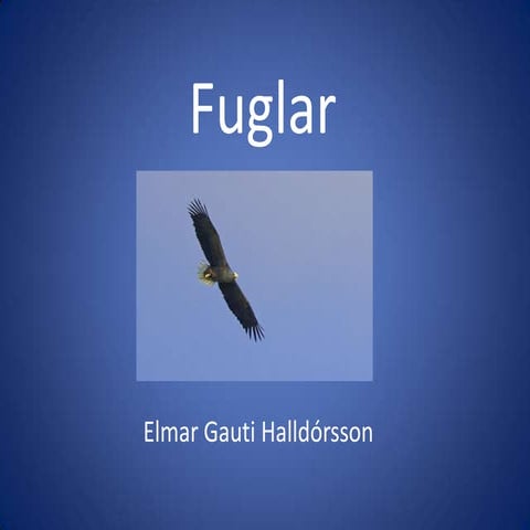 Fuglar | PPTX