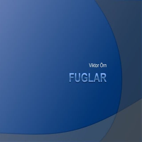 Fuglar viktor | PPT